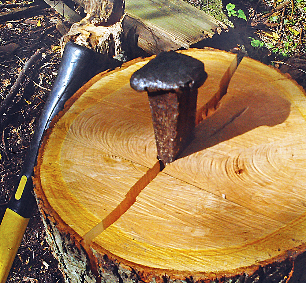 One Weird Trick For Chopping Wood - Countryside